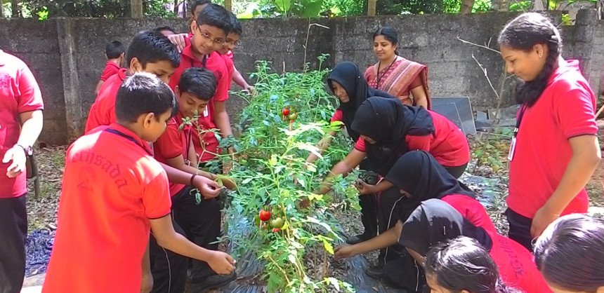 Agro farming by Nature Club Students – Bethsada Public School